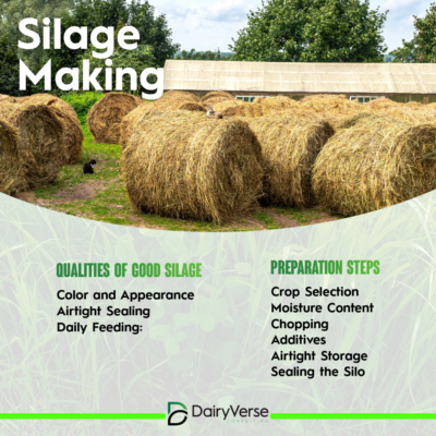 Silage Making: A Comprehensive Guide to Quality Silage Preparation and ...