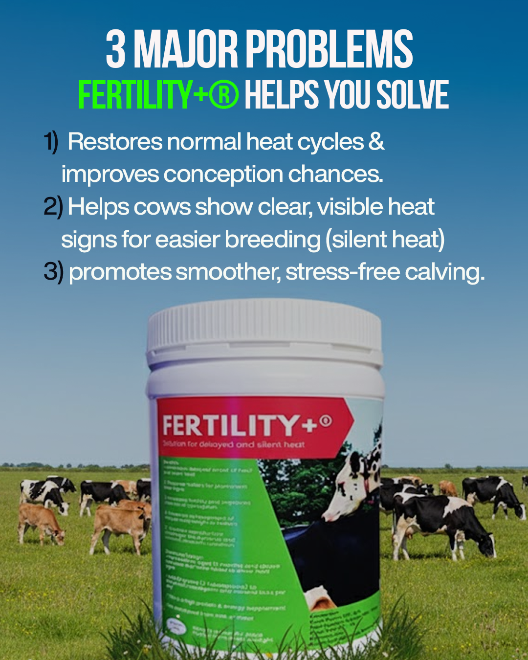 Why Do Cows Need Salt? - Dairyverse